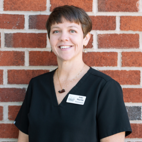 Veterinarian In Washington, NC | Pamlico Animal Hospital